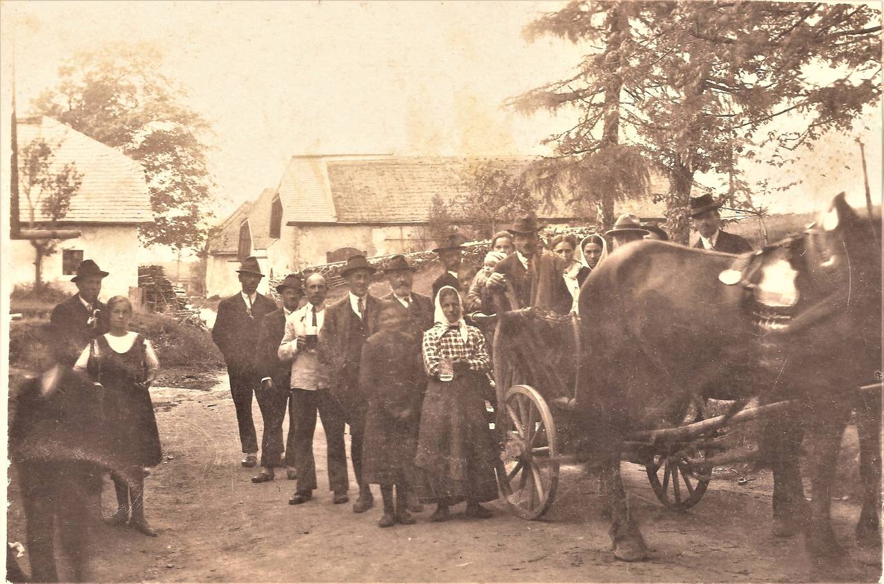 Pferdefuhrwerk in Reiterschlag vor den Häusern Fuchs und Steininger mit ...